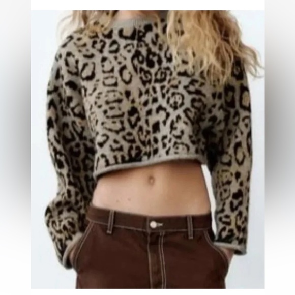 Zara | Sweaters | Nwt Zara Cropped Leopard Print Sweater S | Poshmark